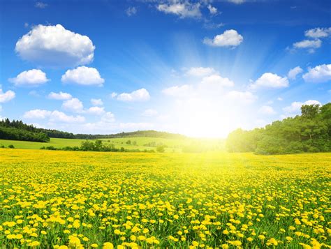 Bring Your Own Sunshine PRSA Madison