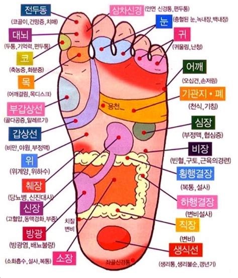 발 건강지압 그림으로 한눈에 보는 발 혈자리 네이버 블로그
