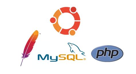 Building A High Availability Cluster With Haproxy Keepalived And Docker A Step By Step Guide