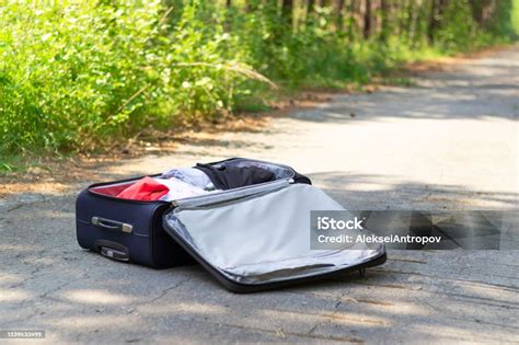 여름 화창한 날에 녹색 단풍을 배경으로 숲 길에 물건을 들고 있는 오픈 여행가방 0명에 대한 스톡 사진 및 기타 이미지 0명 T 셔츠 가방 Istock
