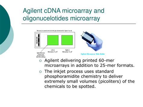 Ppt Microarray Powerpoint Presentation Free Download Id1284189