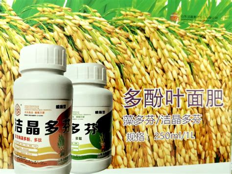 Liquid Seaweed Extract Foliar Spray Seaweed Extract Flakes Or Powder Liquid Seaweed Extract