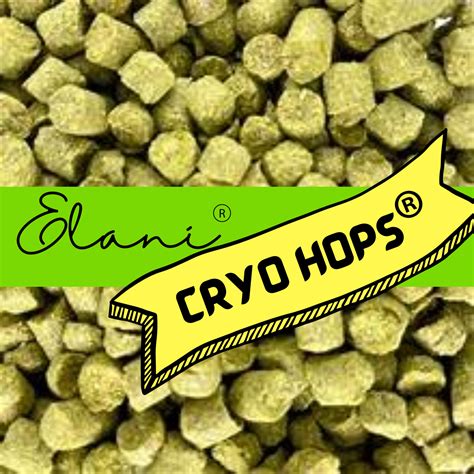 Buy Hops Yakima Quality Hops