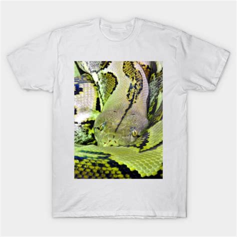 Reticulated Python Reticulated Python T Shirt Teepublic Reticulated Python Reticulated Python T Shirt Teepublic