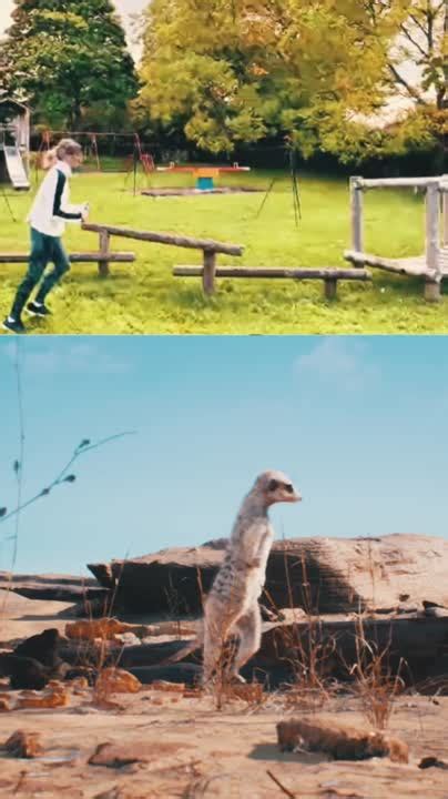 Subbu Addanki ¬‿¬ Posted On Linkedin