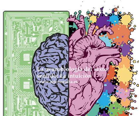 La Neurobiología Del Sexto Sentido La Intuición Psicólogos En Valencia