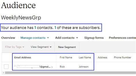 How To Integrate MailChimp V API In DotNet Core C CodeInDotNet