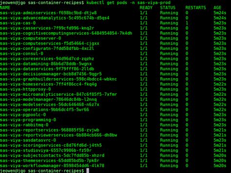 Deploying The Full Sas Viya Stack In Kubernetes Sas Users