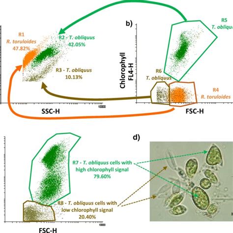 Total Rhodosporidium Toruloides And Tetradesmus Obliquus Cdw Over