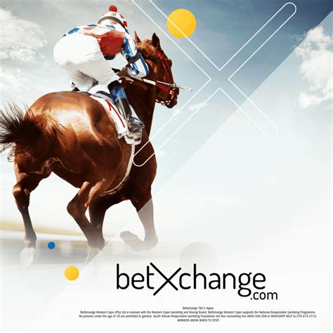 Bokke 2025 Fixtures African Betting Clan