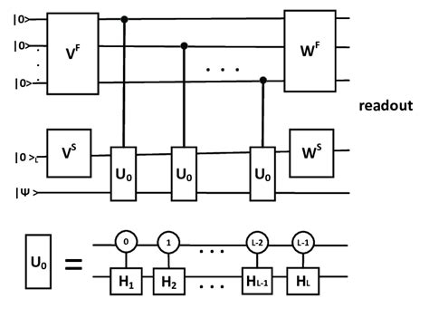duality computing in a quantum computer Ψ is the initial state of