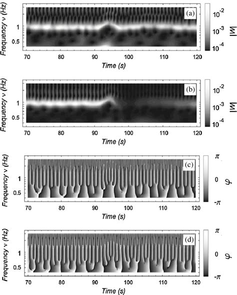 Wavelet Decomposition Of Ecg And Ppg Signals The Wavelet Derived Download Scientific Diagram