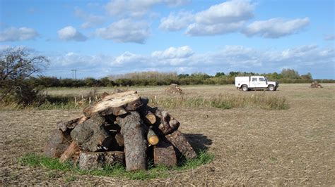 Impact Mitigation Services Thomson Environmental Consultants