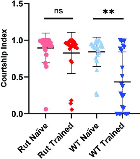 Representation Of A Long Term Memory Experiment Download Scientific Diagram