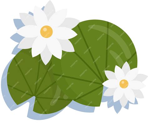 Premium Vector Lilly Flower Plant