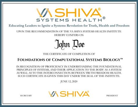 Foundations Of Computational Systems Biology™ Vashiva