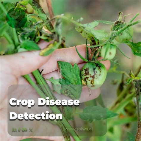 The Crop Disease Detection Techniques An Overview