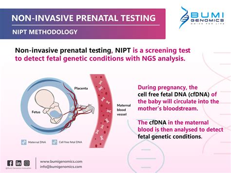 Non Invasive Prenatal Bumi Genomics Innovation Sdn Bhd
