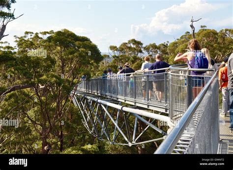 Tree Top Walk Elevated Walkway Hi Res Stock Photography And Images Alamy