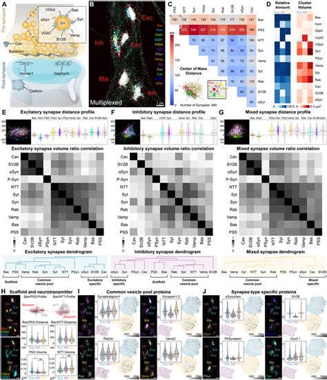 High Content Feature Space Analysis Enables Deep Characterization Of Download Scientific