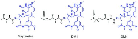 The Structure Of Maytansine And Its Conjugable Derivatives Dm1 And Dm4 Download Scientific
