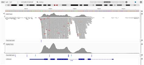 New Scidap Workflow Germline Variant Calling Pipeline With Gatk4 By