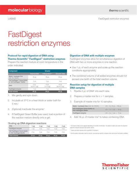 Fastdigest Restriction Enzymes Labaid Pdf Polymerase Chain Reaction Biochemistry Fastdigest Restriction Enzymes Labaid Pdf Polymerase Chain Reaction Biochemistry