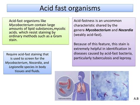 Acid Fast Staining Pdf