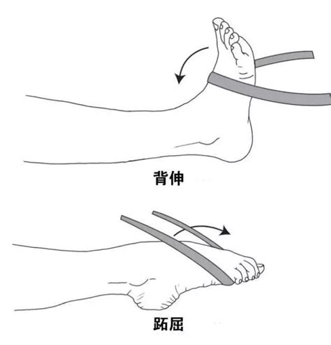 踝关节跖屈和背伸图片 踝关节背伸跖屈图片 大山谷图库