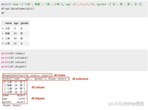 为什么python的pandas库用不了dataframe？ 知乎