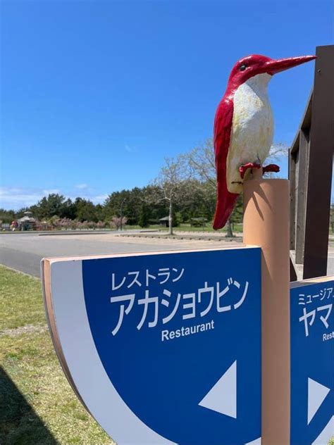 Tomoko Miyaさんの口コミ （ランチ）：レストラン アカショウビン Retty 日本最大級の実名型グルメサービス