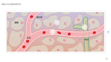火花学院 科学可视化教学内容与工具库