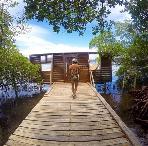 La Parguera Turismo Qué Visitar En La Parguera Lajas 2025 Viaja