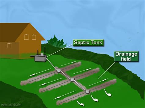 How To Make A Leach Field Explaining Leach Fields And Lines In A Septic