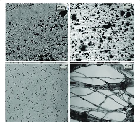 Micrographs 200x Optical Of The Composite Material After Different
