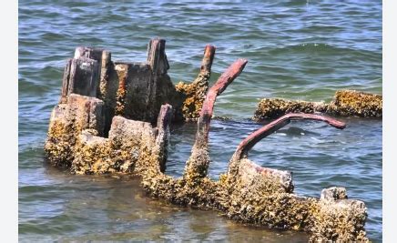 Floridas Latest Antique Discovery The Circle In Banana River 1