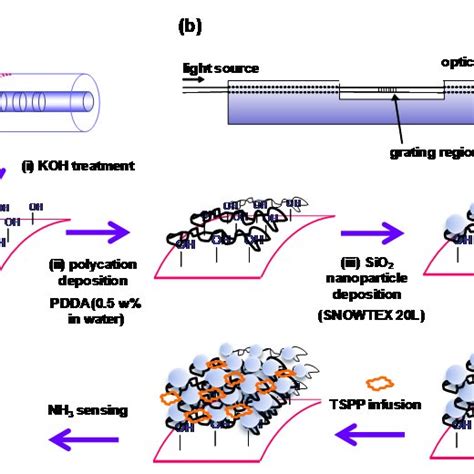 A Schematic Illustration Of The Electrostatic Self Assembly Download Scientific Diagram