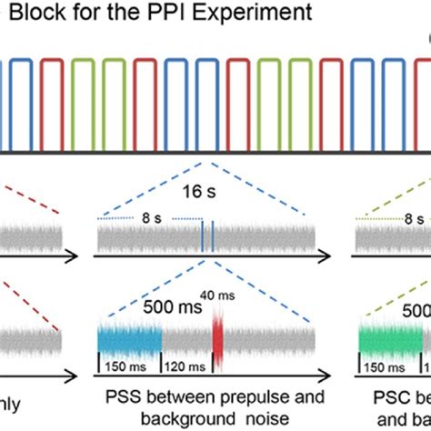 Experimental Design For Measuring Ppi Magnitudes Each Block Comprised Download Scientific