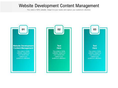 Website Development Content Management Ppt Powerpoint Presentation Summary