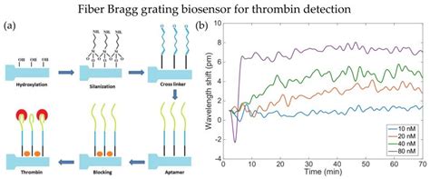 Biosensors Mdpi On Linkedin Review Mdpi Optical Bioimaging Fiber Biosensors Sensors
