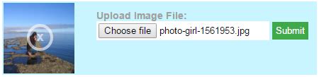 Add Delete Image Via JQuery AJAX Phppot