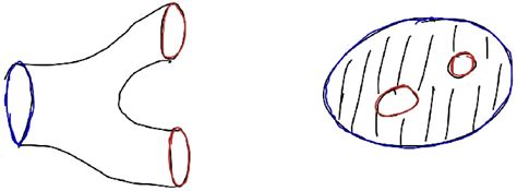 Figure 1 From Topological Field Theory And Finite Gauge Theory
