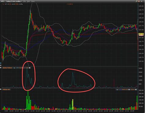 Option Volume Indicator R Thinkorswim