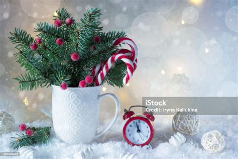 크리스마스 또는 새 해 카드 전나무 나무 사탕 지팡이와 빨간 시계 컵 에 눈 밝은 배경 0명에 대한 스톡 사진 및 기타 이미지 Istock