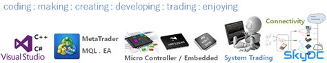 Wifi Chip Esp8266ex Ю Skydc