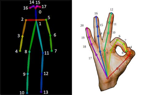 alternatives and detailed information of pytorch openpose gitplanet
