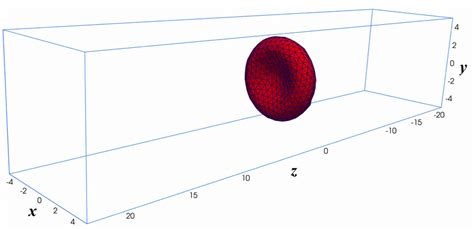 computational setup for the fluid structure interaction simulation of a
