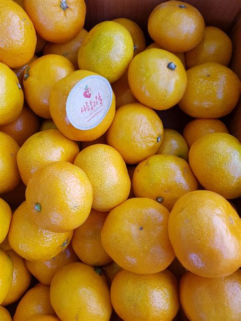 사랑과일광주컵과일광주간식광주유치원간식광주행사간식광주배달간식 네이버 블로그