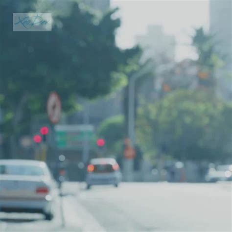 Xeodev On Linkedin Webdevelopment