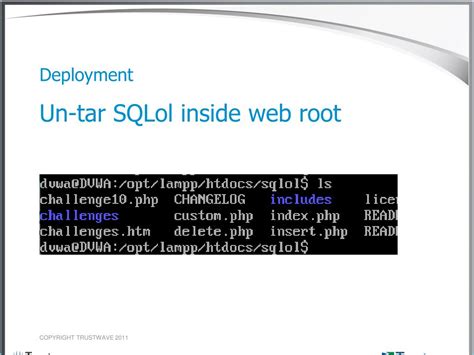 Ppt Advanced Sql Injection With Sqlol Powerpoint Presentation Free